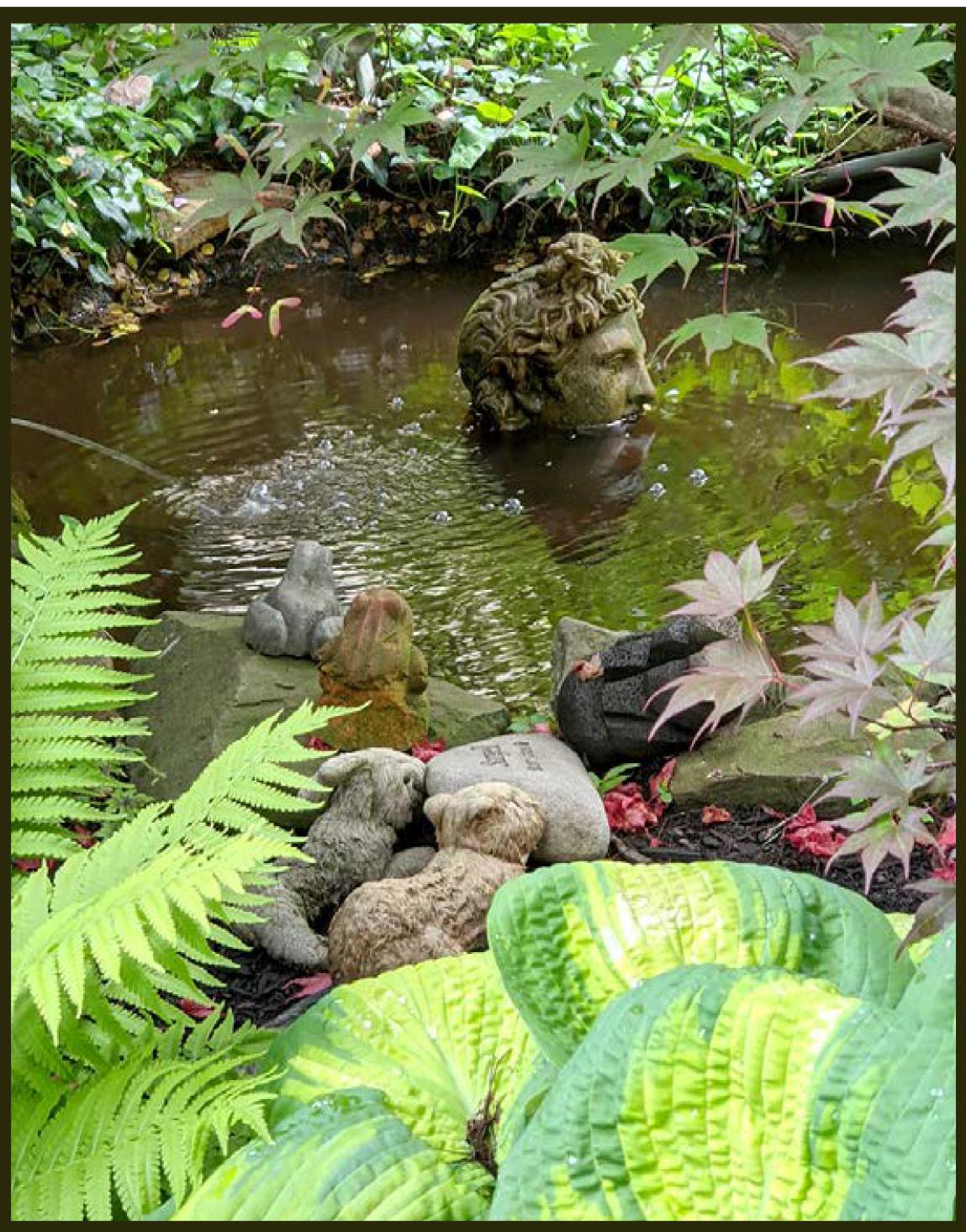 Symphony Splendor Garden and Patio Tour 2022 - 26 JUN 2022