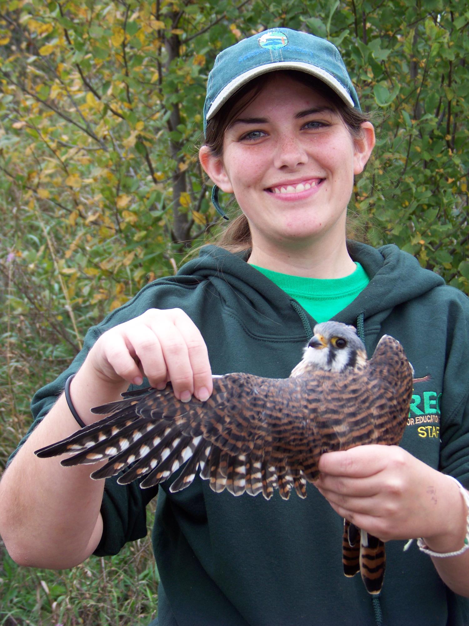 Introduction To Raptor Field Techniques 12 SEP 2019